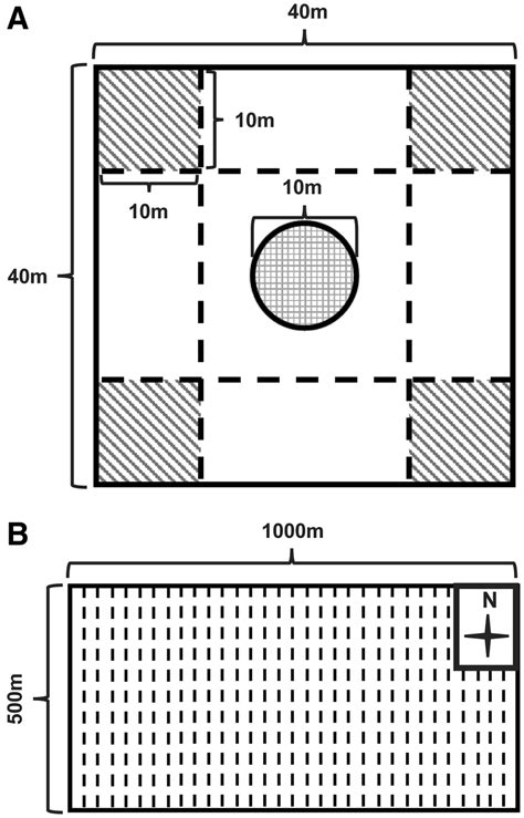 The Layout Of Each Dynamics Plot A And An Example Of The Long Download Scientific Diagram
