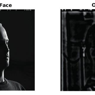 The Different Steps Of Our New Face Recognition Algorithm LOG DTCWT