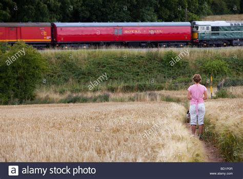 A Woman Walking Through A Field Of Barley In Leicestershire Uk With A Mail Train Behind Stock