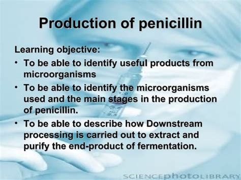 Penicillin Fermentation Process Industrial Production Of Penicillin