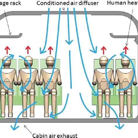 Particle Transport And Distribution At Various Time Steps Download Scientific Diagram