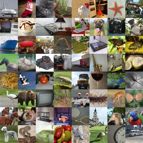 Generated Samples From One Step Generators That Are Distilled From Download Scientific Diagram