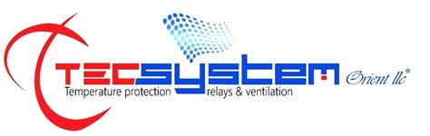 Tecsystem Orient Llc Egypt Pioneers Of Quality Systems And Certifications