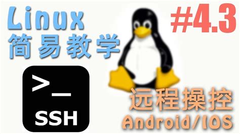 4 3 怎么样从手机 Android安卓 IOS苹果 通过 SSH 远程 Linux Linux 机器学习 教程教学 tutorial YouTube