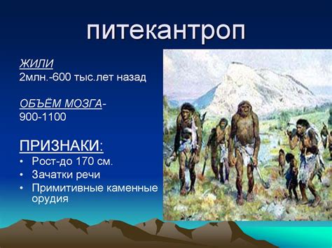 Эволюция человека. Книга "Происхождение человека и половой отбор ...