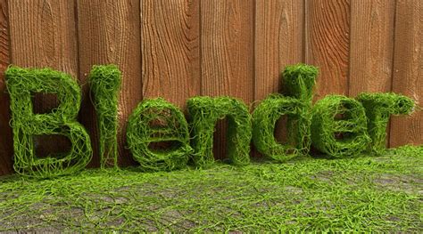Blender Tutorial Vine Animation Text Blender Hut