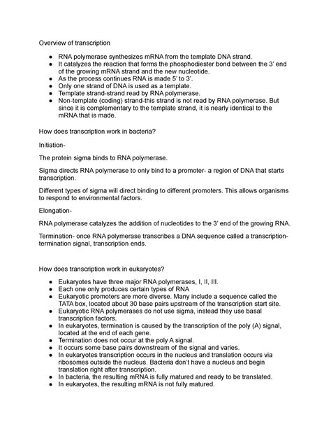 Transcription Compilation Of Lecture And Textbook Notes Overview Of Transcription RNA Studocu