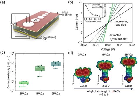 Efficient Silicon Solar Cells Through Organic Self Assembled Monolayers