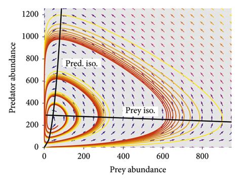 Direction Fields And Trajectories For Different Parameterizations Of