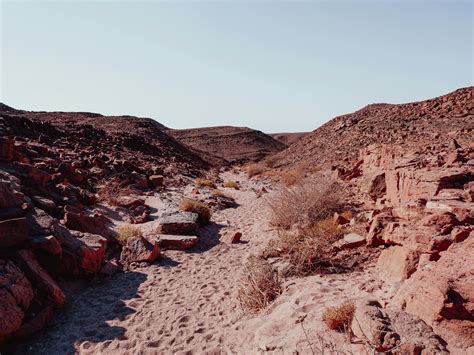 건조한 건조한 기후 경치 경치가 좋은 고요한 고요함 고원 골짜기 공 공중 광야 광활한 땅 때묻지 않은 먼지 메마른 모래 언덕 모래 폭풍