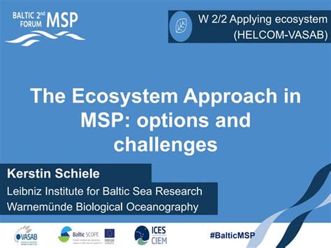 The Ecosystem Approach In Msp Options And Challenges At The 2nd Baltic