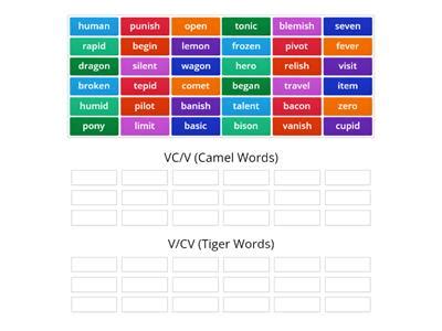 V Cv And Vc V Syllable Patterns Teaching Resources