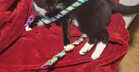 Viago 2 Album On Imgur