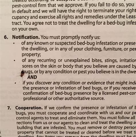 This Bug Crawled Into The Folder With Our Lease Agreement And Died In The Perfect Spot Scrolller