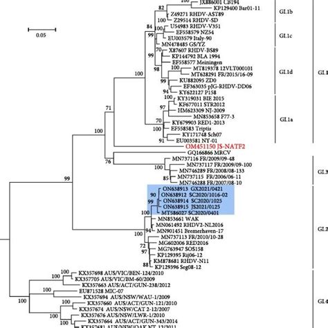 Maximum Likelihood Ml Phylogenetic Trees For The Genome Regions Download Scientific Diagram
