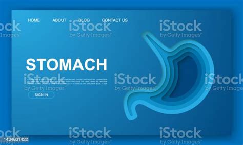 위 3d 종이 컷 웹 사이트 템플릿 소화 시스템 종이는 그림을 잘라냅니다 방문 페이지 광고 페이지에 대한 장기 해부학 기호 위에 대한 스톡 벡터 아트 및 기타 이미지