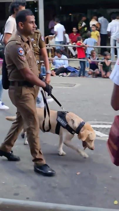 ️ අනේ බලන්නකො පෙරෙහැර බලන්න එන ජනතාවගෙ ආරක්ෂාව වෙනුවෙන් දිවා රෑ මහන්සිවෙන එයත් විරැවෙක් තමයි ️