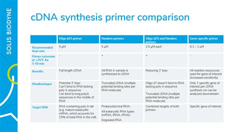 Cdna Synthesis