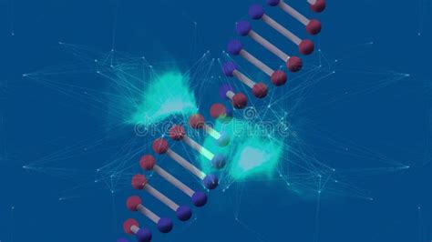 Animation Of Dna Strand Spinning Over Globe Of Network Of Connections On Blue Background Stock