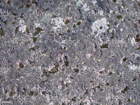 오래된 천연 이끼 돌의 질감 아름다운 돌 표면 자연 배경에 대한 이끼와 이끼로 덮여 더러운 바위 0명에 대한 스톡 사진 및 기타