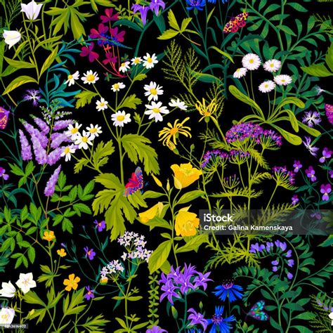 초원과 정원 꽃의 혼합물 여름 모티브 옥수수 꽃 데이지 종 꽃 차모 마일 잡초 식물원면의 매끄러운 패턴 소박한 보헤미안 스타일 0명에 대한 스톡 벡터 아트 및 기타 이미지