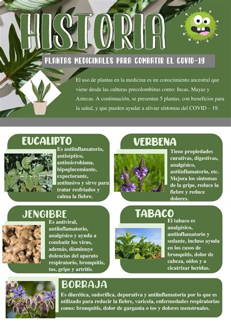 Histo Plantas Medicinales Que Aportan En El Mejoramiento De Síntomas
