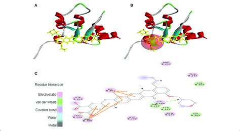 Poses Of Docked Complexes A In Silico Interaction Between Selected