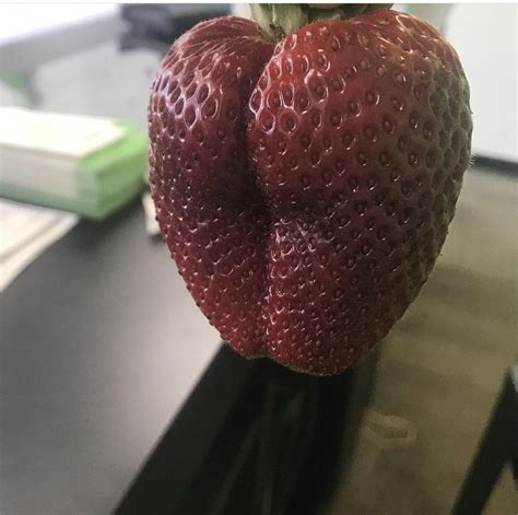 Just A Regular Strawberry Pics