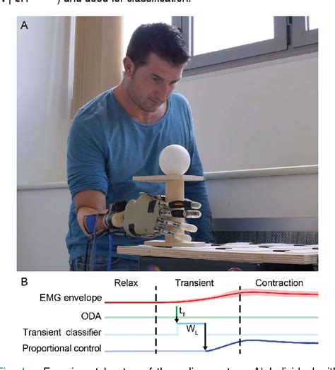 Figure 4 From Classification Of Transient Myoelectric Signals For The Control Of Multi Grasp