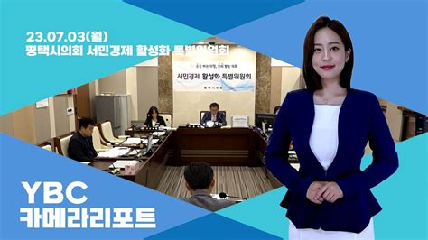 카메라리포트현장취재 평택시의회 제239회 제1차 정례회 제1차 서민경제활성화 특별위원회 회의 Youtube