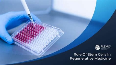 Role Of Stem Cells In Regenerative Medicinepptx