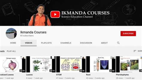 International Program On Science Education A Leading And Outstanding