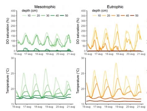 Dissolved Oxygen Dynamics In Drainage Ditches Along A Eutrophication
