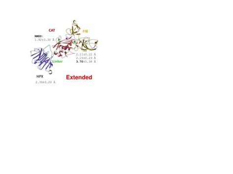 Ppt Extended Powerpoint Presentation Free Download Id6849784