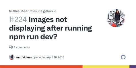 Images Not Displaying After Running Npm Run Dev · Issue 224 · Trufflesuitetrufflesuitegithub