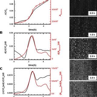 Photograph Of Capacitance Sensor Array Consisting Of 60 Capacitance Download Scientific Diagram