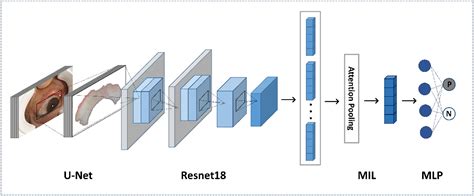Figure 3 From Deep Learning Algorithm For Automated Detection Of Polycystic Ovary Syndrome Using