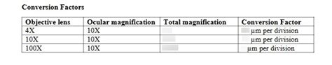 Comprehensive Guide To Conversion Factors For Microscopes Flashcards Quizlet