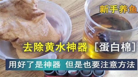 蛋白棉是去除鱼缸黄水神器，但也有注意事项，弄清楚再使用 Youtube