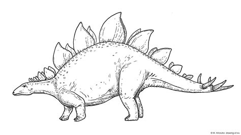 Drawing Of Stegosaurus Line Art Illustrations