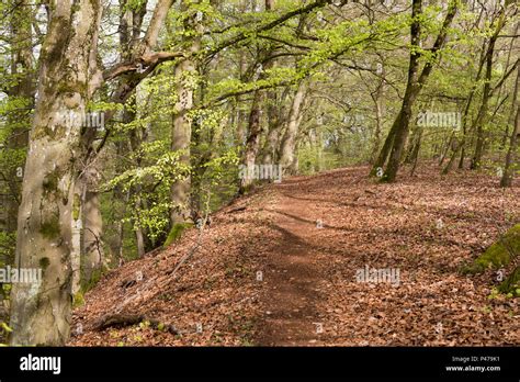 Walk Over Old Mining Area Stock Photo Alamy