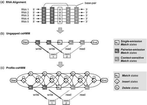 Constructing A Profile Cshmm From A Multiple Rna Sequence Alignment