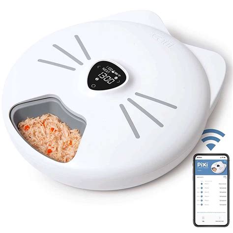 Best Automatic Cat Feeders Reviews And Buyers Guide 2024