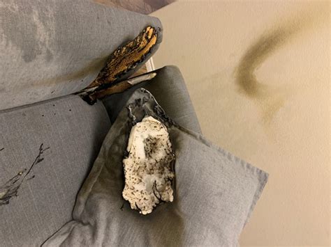 Mini Firefighter 2 Pack Eliminates More Fire Types Easy Non Toxic No Fuss Mini Firefighter