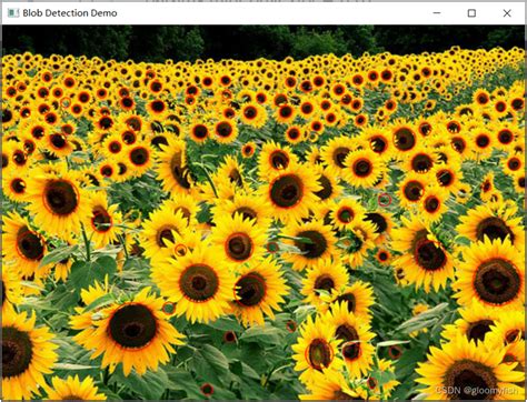 【奇技淫巧】opencv中blob分析的两个关键技巧opencv Blob分析 Csdn博客