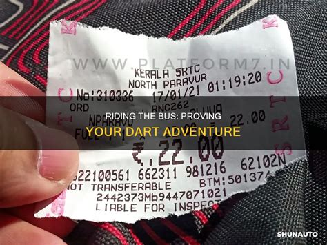 Riding The Bus Proving Your Dart Adventure Shunauto