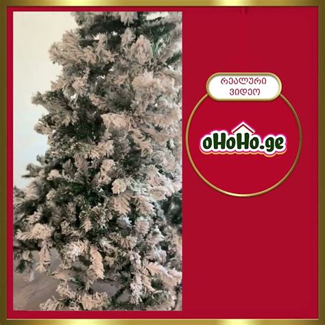 ნაძვის ხე პარიზი Youtube