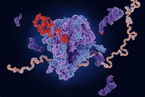 25 Facts About Rna Research