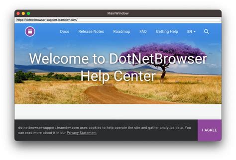 Dotnetbrowser Meets Avalonia