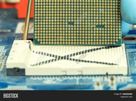 Removing Replacing Image Photo Free Trial Bigstock